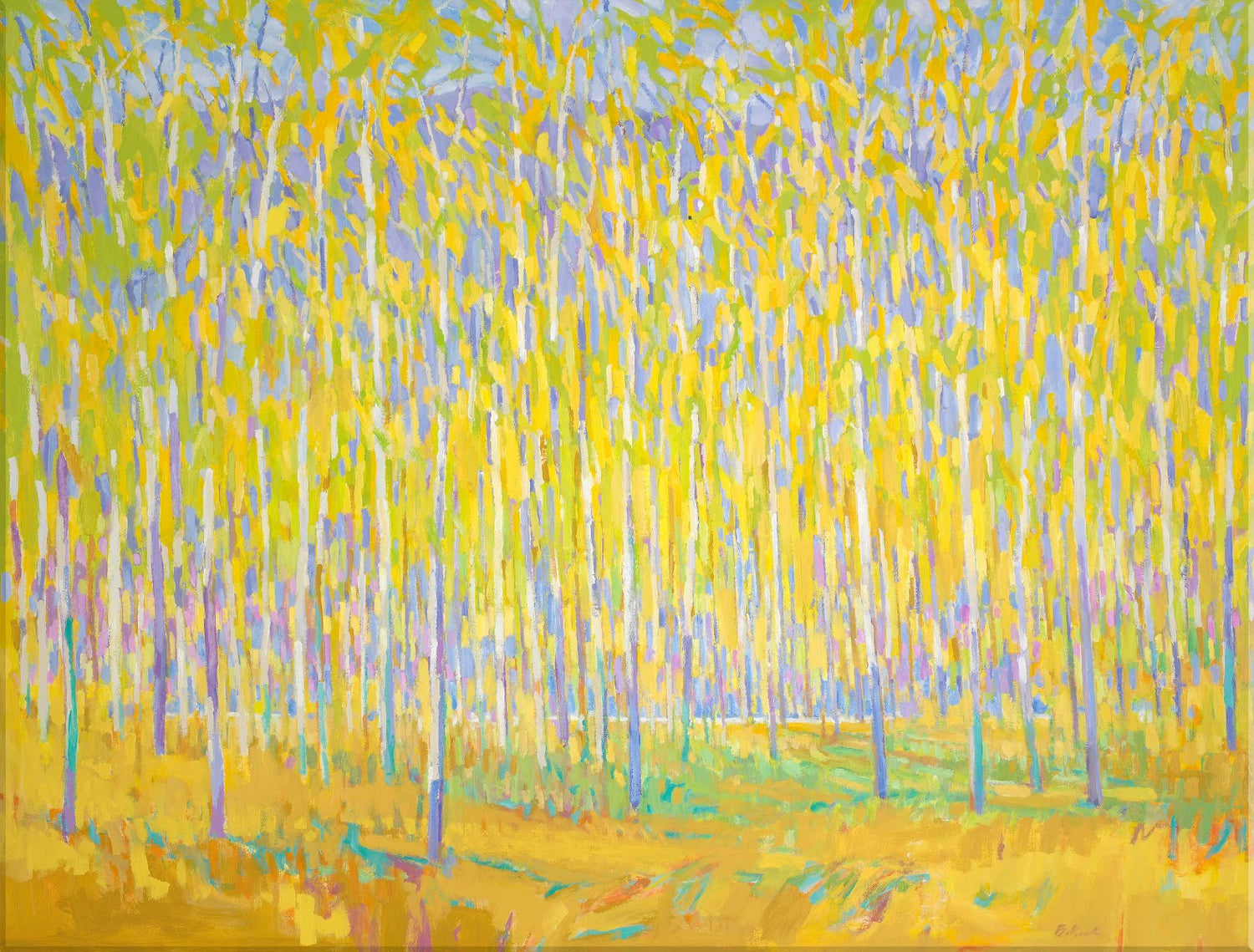 Spring Horizon